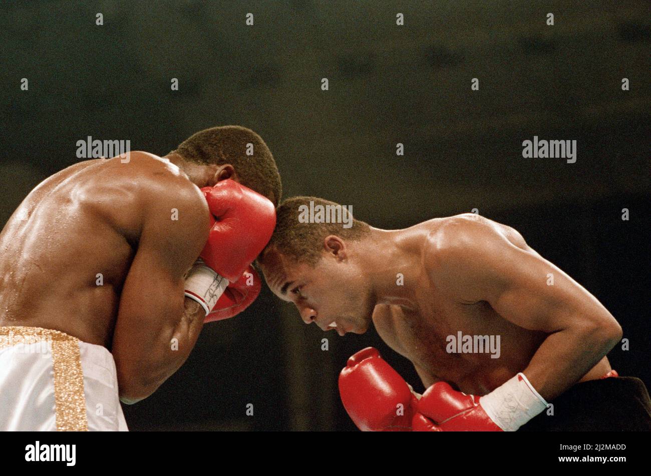 Marlon starling hi-res stock photography and images - Alamy