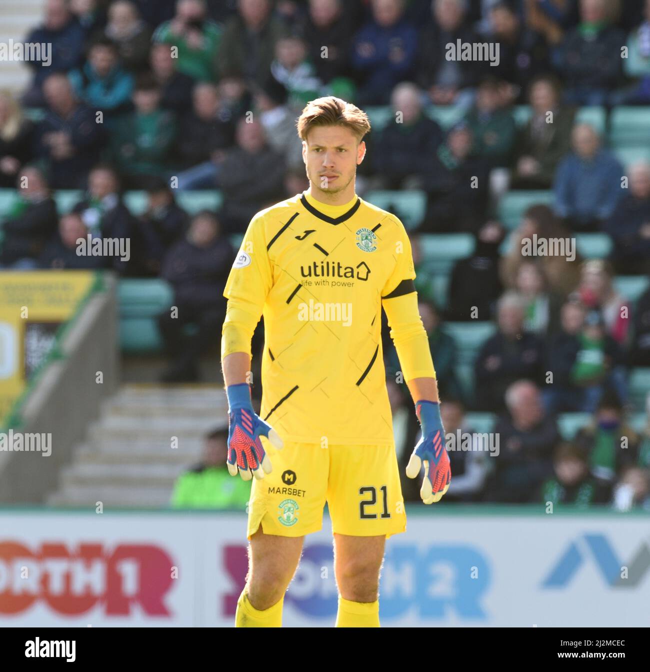 Dabrowski hibs hi-res stock photography and images - Alamy