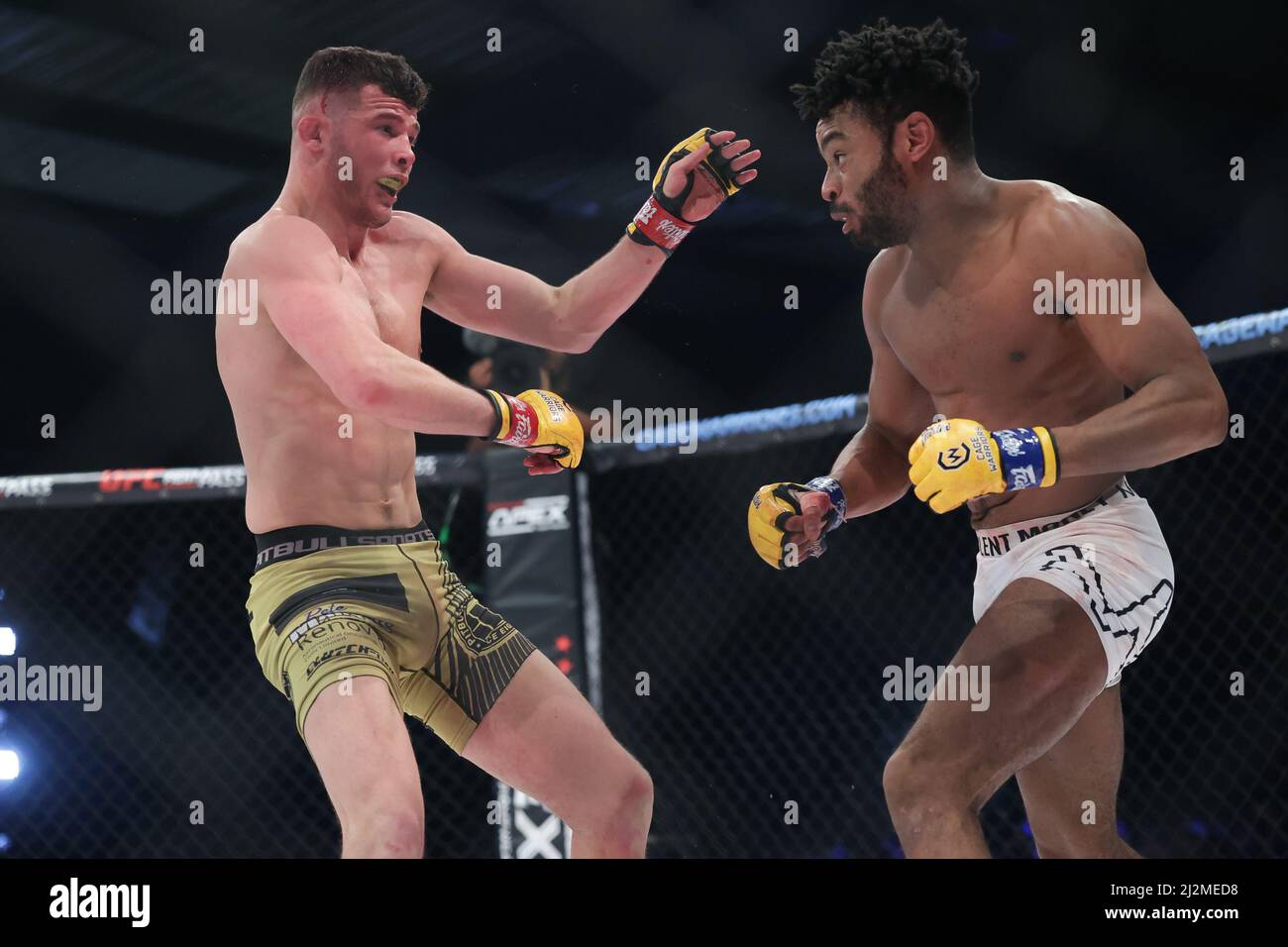 Stuns hi-res stock photography and images - Alamy