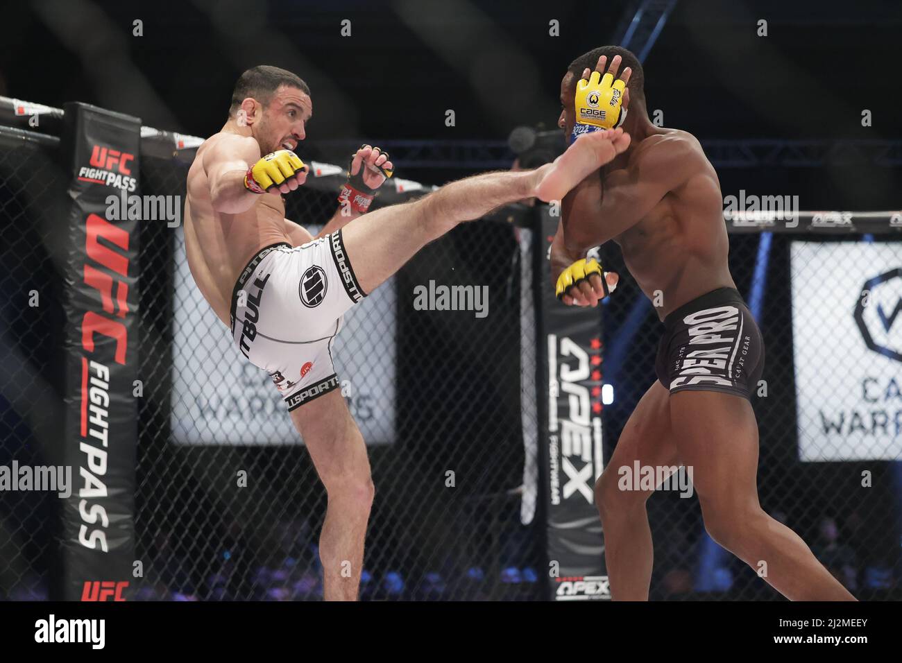 Cage warriors events hi-res stock photography and images - Alamy