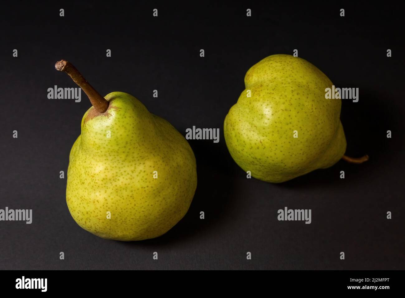 Two ripe green pears on a dark background, late november pear variety ...