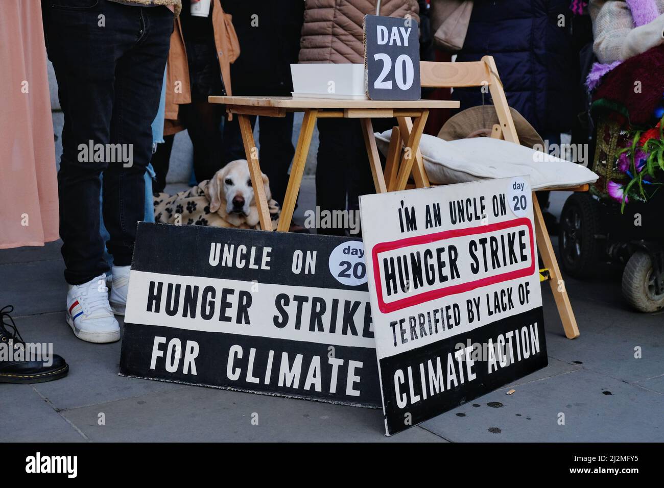 Angus rose candlelit vigil hi-res stock photography and images - Alamy