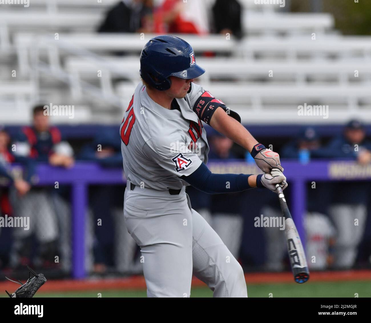 Husky ballpark hi-res stock photography and images - Alamy