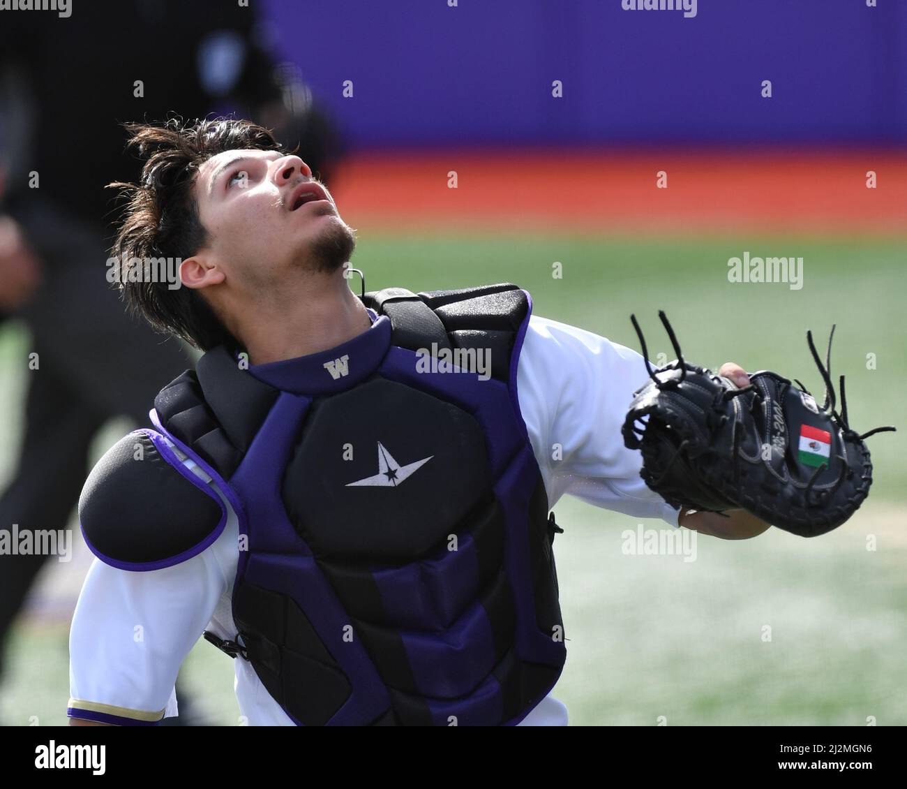 Husky ballpark hi-res stock photography and images - Alamy