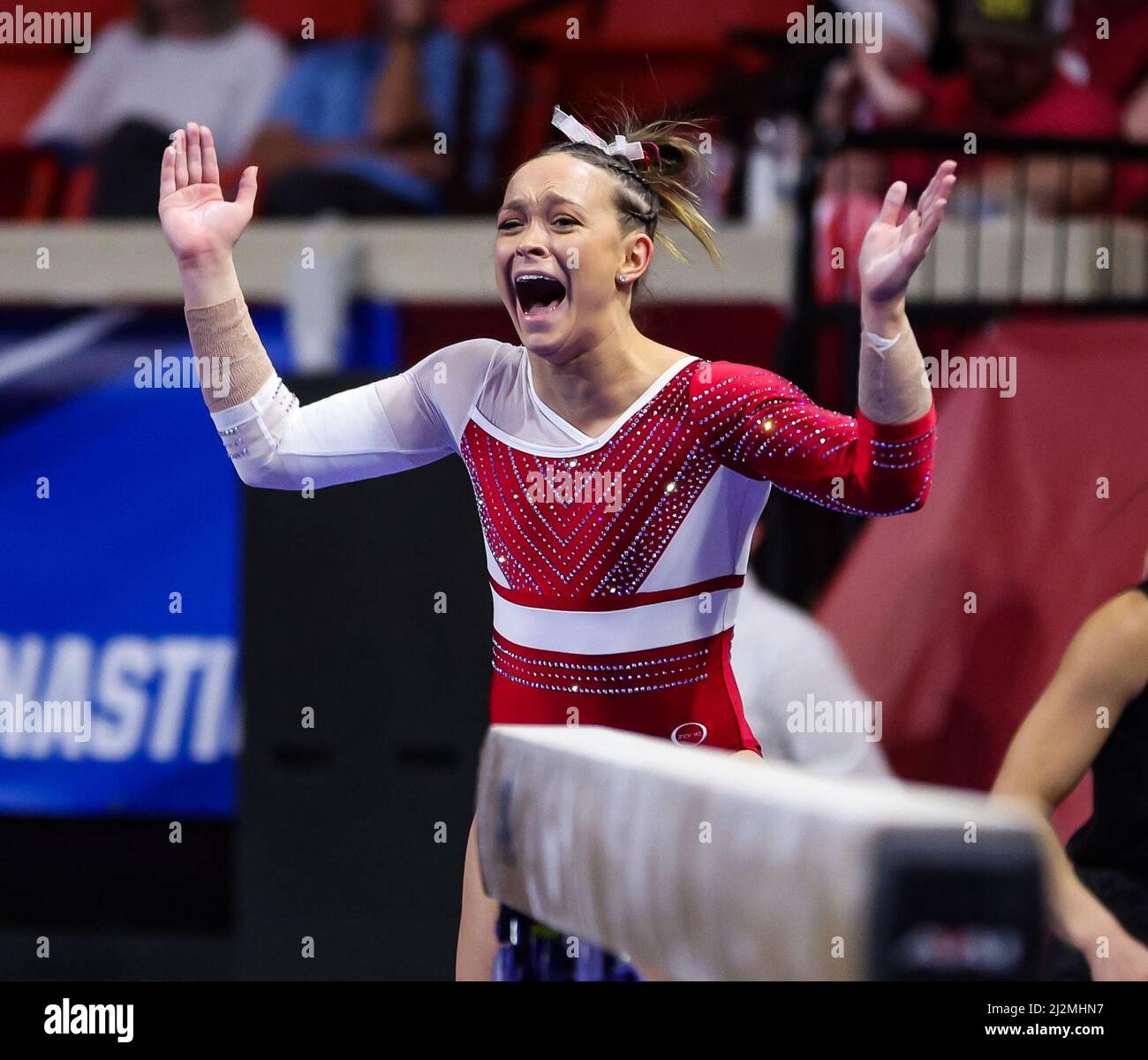 Norman, OK, USA. 2nd Apr, 2022. Arkansas' Amanda Elswick celebrates ...