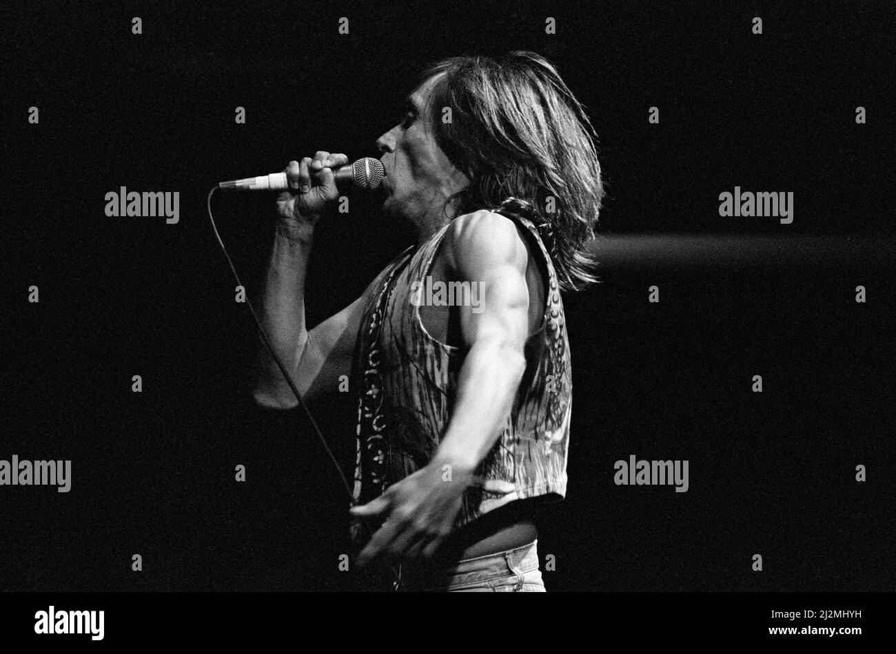 Iggy Pop (USA singer) performing at The Reading Rock Festival, Little ...