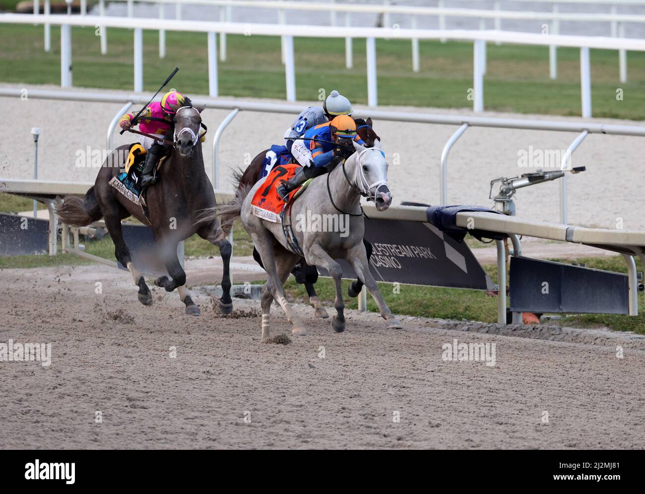 HALLANDALE, FLORIDA - APRIL 02: White Abarrio #7, ridden by Tyler ... HALLANDALE, FLORIDA - APRIL 02: White Abarrio #7, ridden by Tyler ...