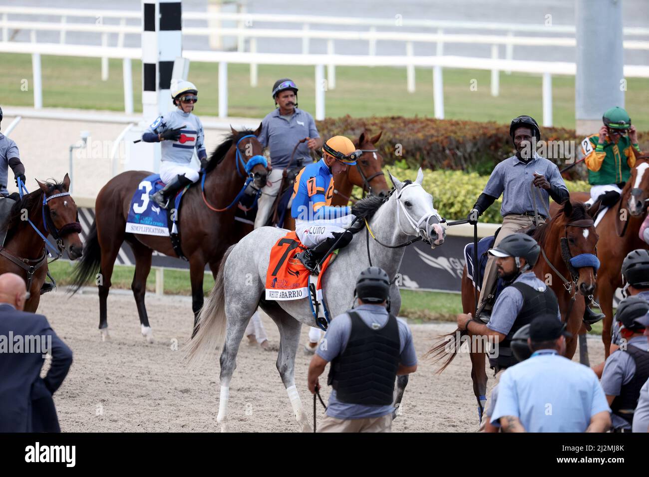 HALLANDALE, FLORIDA - APRIL 02: White Abarrio #7, ridden by Tyler ... HALLANDALE, FLORIDA - APRIL 02: White Abarrio #7, ridden by Tyler ...