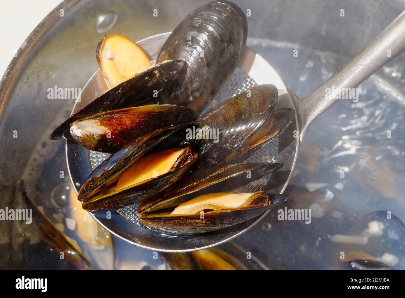 Boiling blue mussels hi-res stock photography and images - Alamy