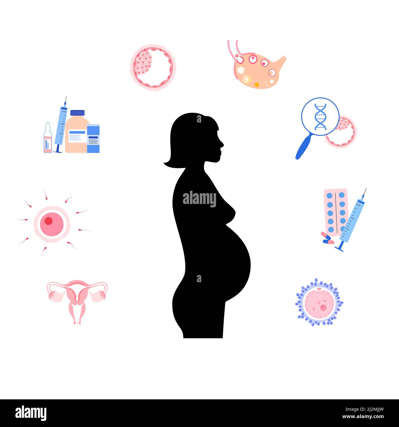 Female fertility, conceptual illustration Stock Photo - Alamy