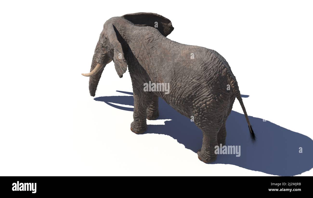 African animal cgi hi-res stock photography and images - Alamy