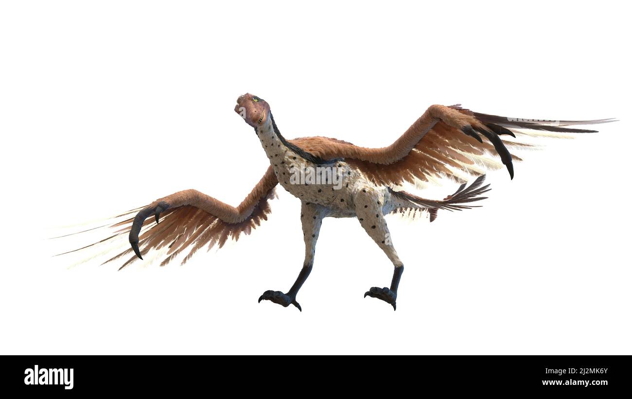 Archaeopteryx dinosaur Cut Out Stock Images & Pictures - Alamy