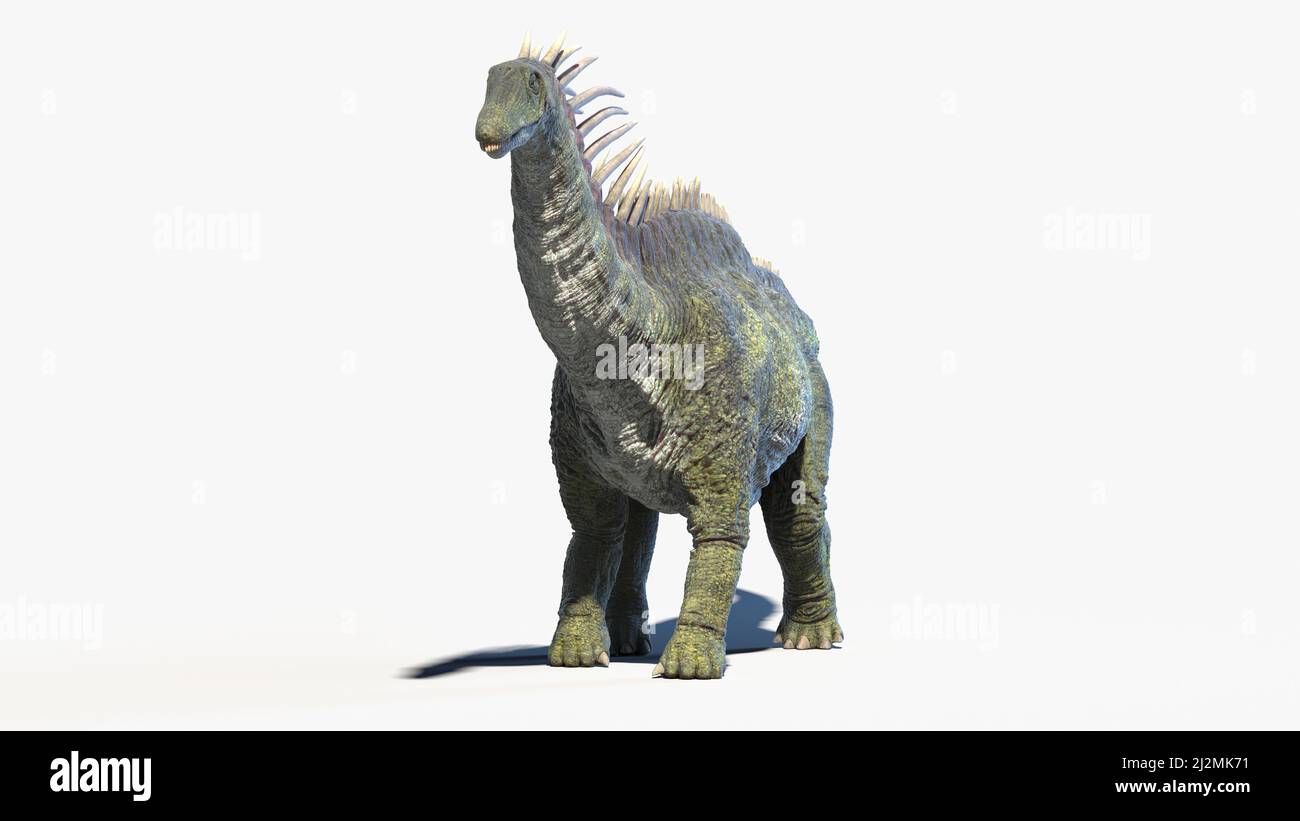 Amargasaurus dinosaur hi-res stock photography and images - Alamy
