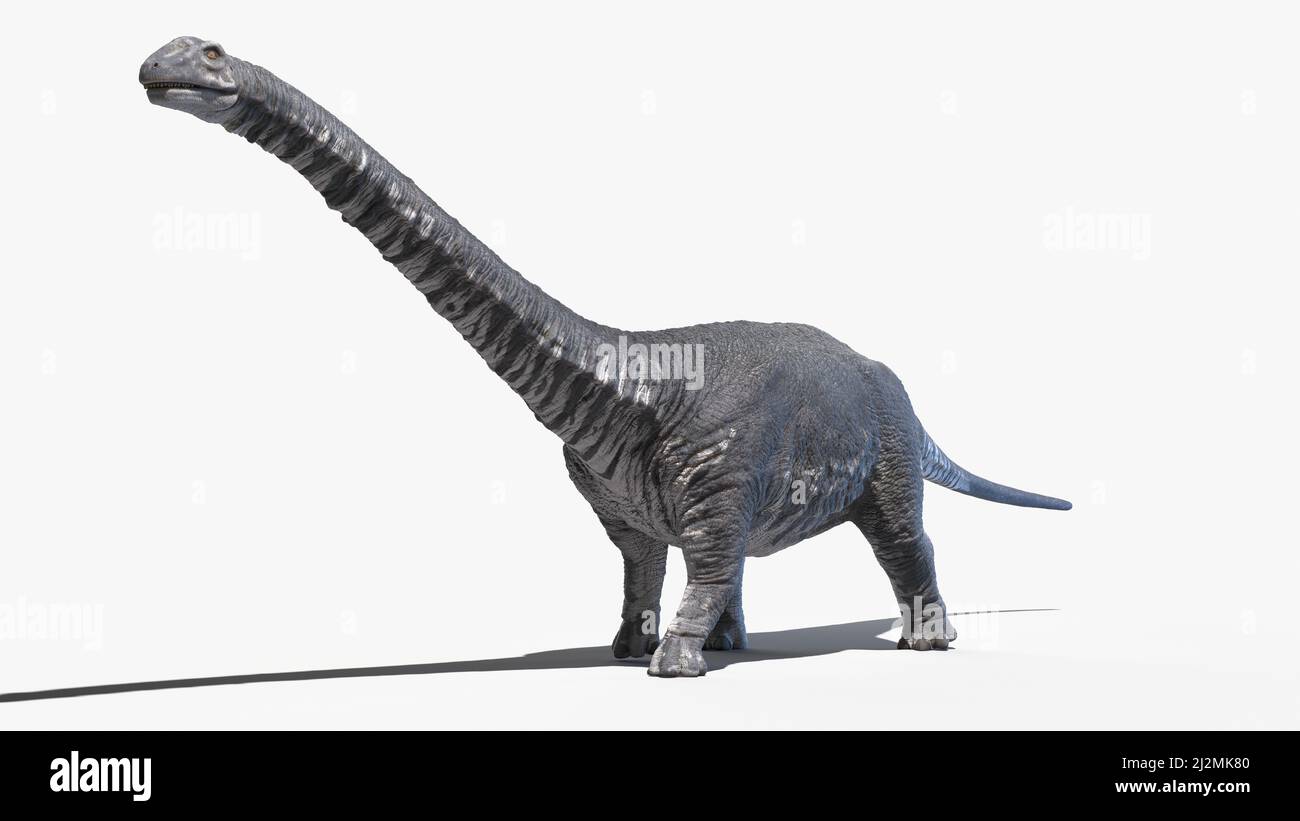 Argentinosaurus High Resolution Stock Photography and Images - Alamy