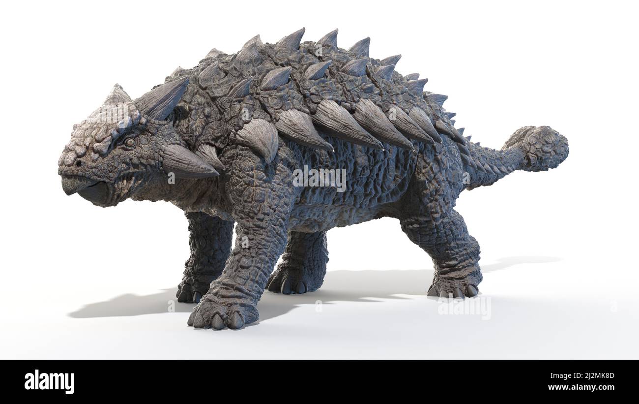 Ankylosaurus illustration hi-res stock photography and images - Alamy