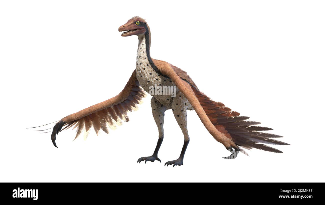 Archaeopteryx dinosaur Cut Out Stock Images & Pictures - Alamy