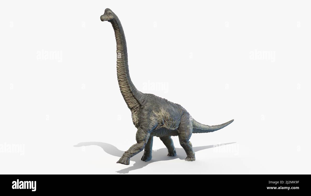 Artwork brachiosaurus hi-res stock photography and images - Alamy