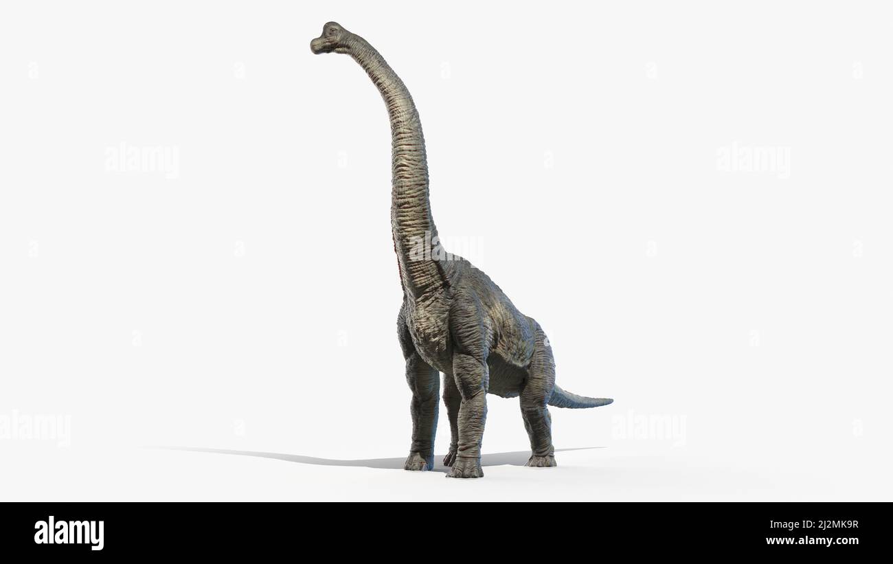Artwork brachiosaurus Cut Out Stock Images & Pictures - Alamy