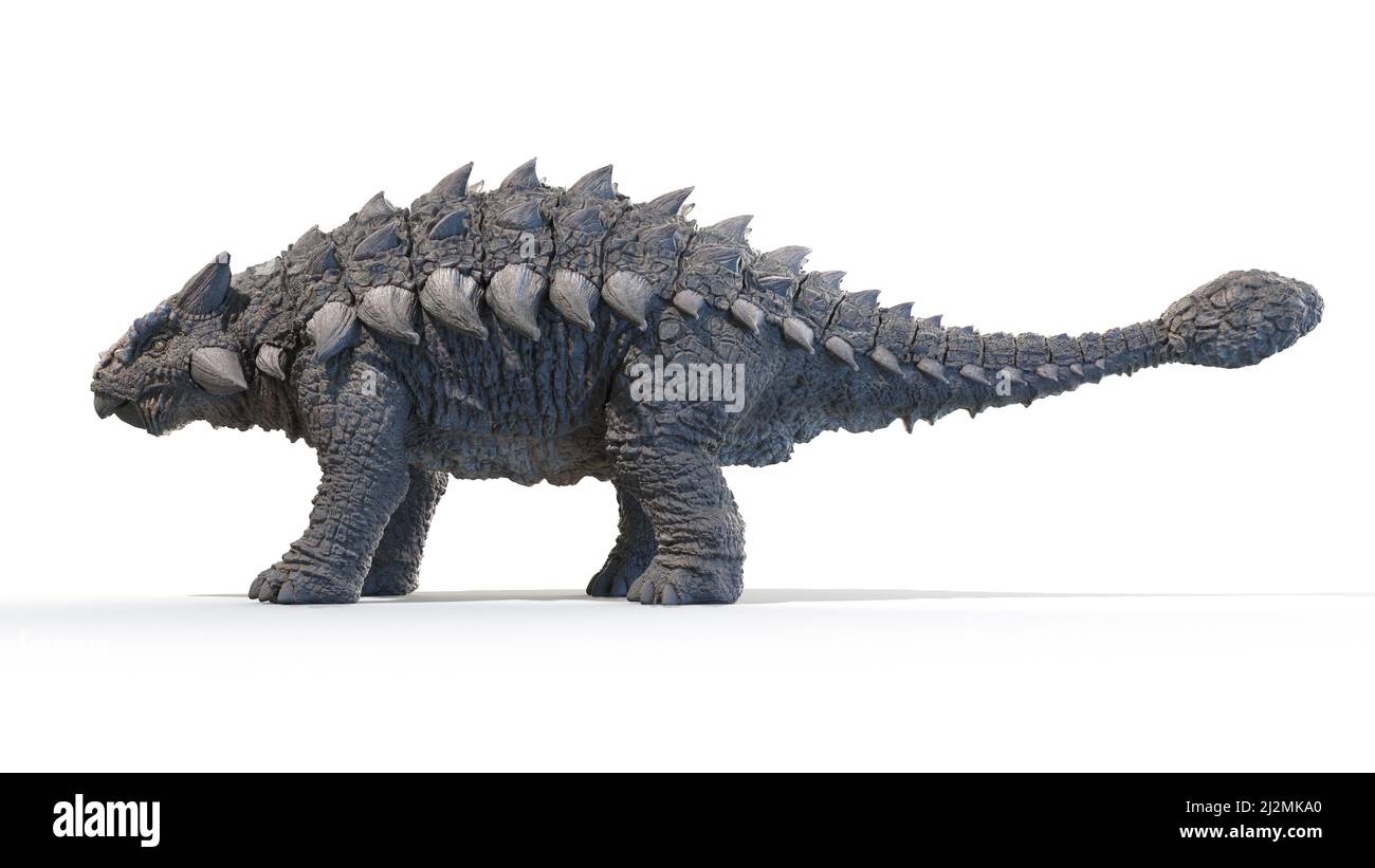 Ankylosaurus illustration hi-res stock photography and images - Alamy