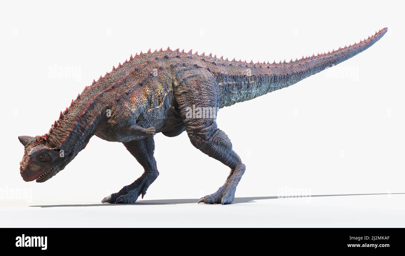 Carnotaurus dinosaur white background hi-res stock photography and ...