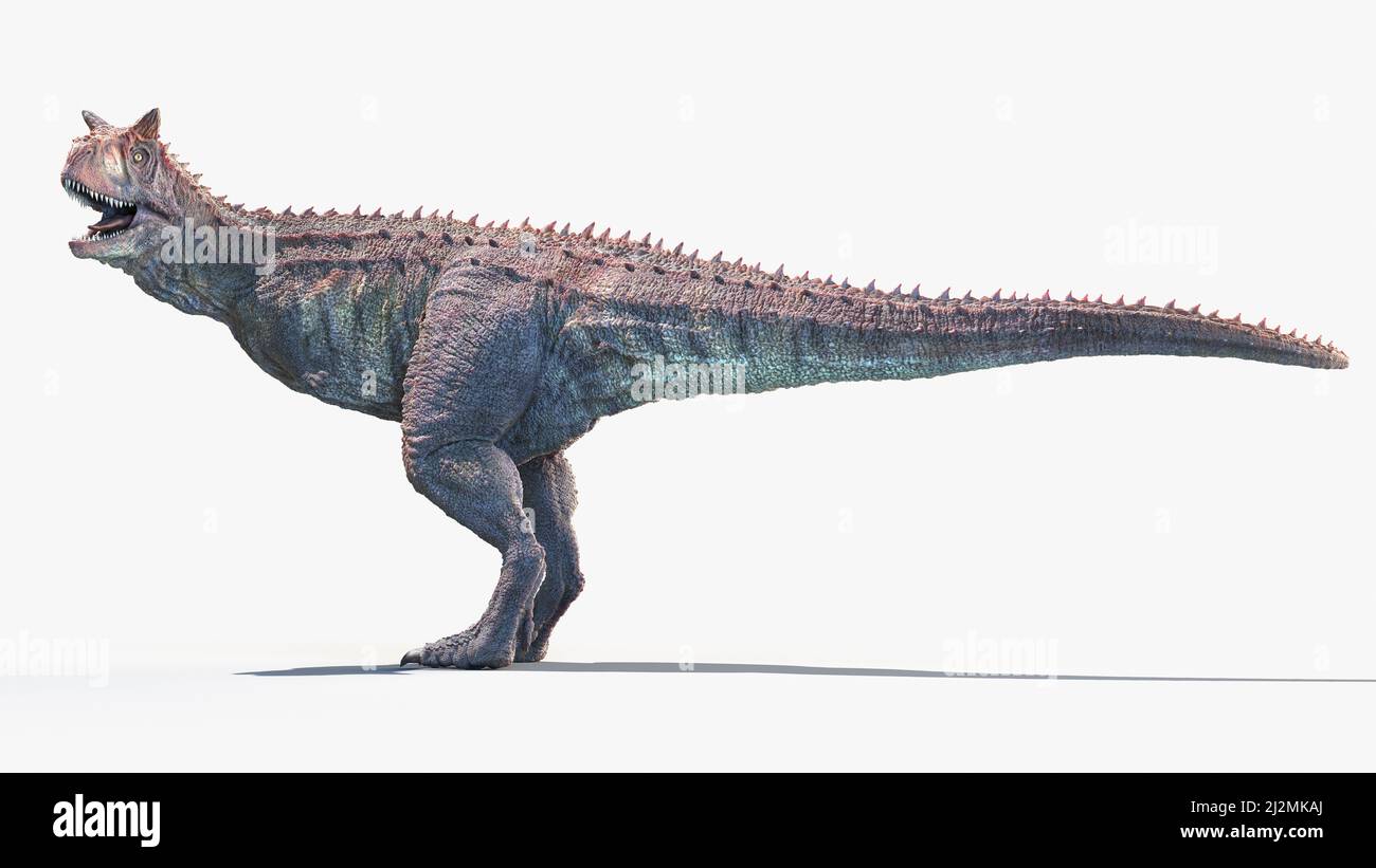 Carnotaurus dinosaur white background hi-res stock photography and ...