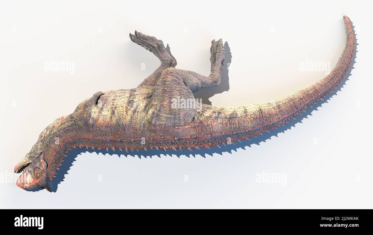 Carnotaurus dinosaur white background hi-res stock photography and ...
