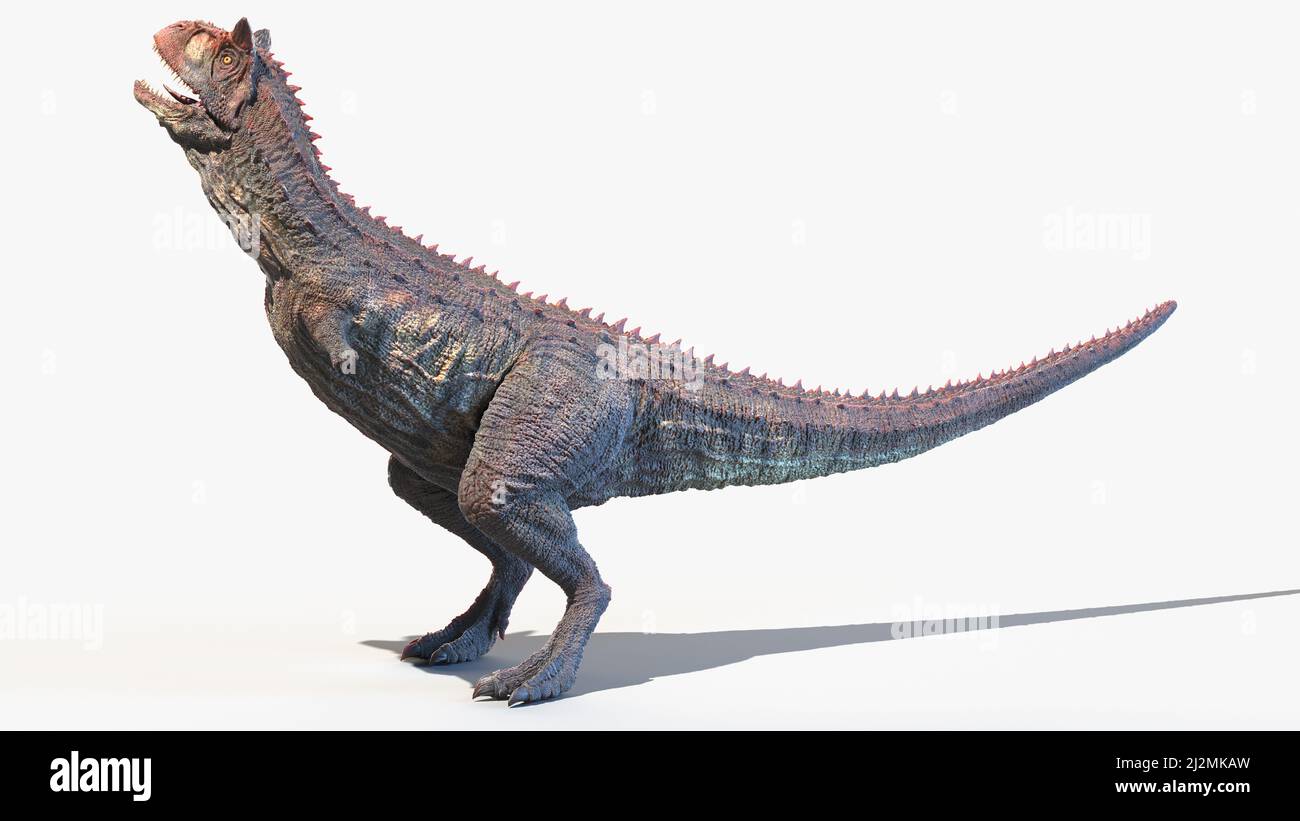 Carnotaurus dinosaur white background hi-res stock photography and ...