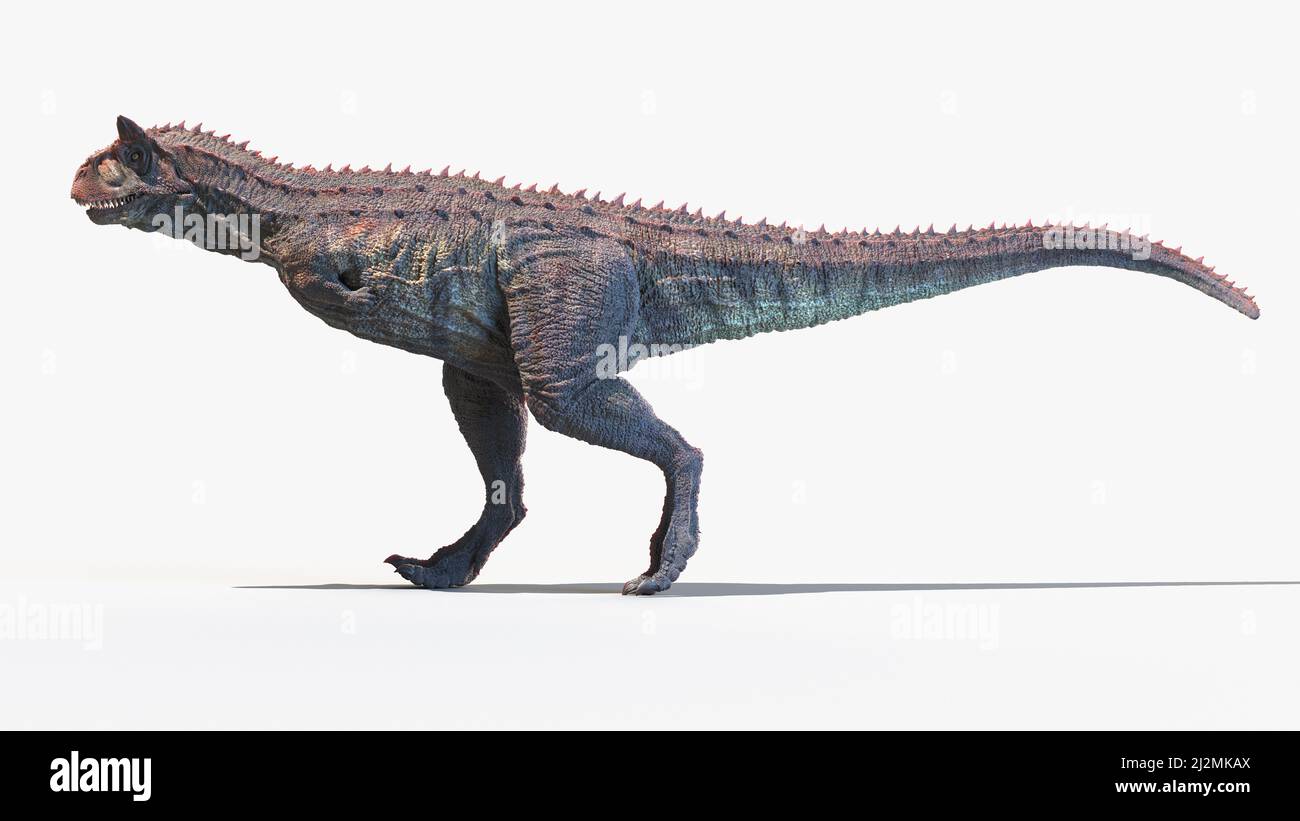Carnotaurus dinosaur Cut Out Stock Images & Pictures - Alamy