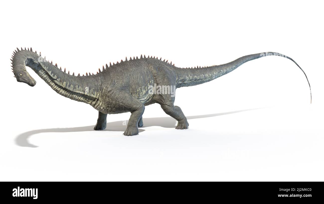 Diplodocus dinosaur rendering hi-res stock photography and images - Alamy