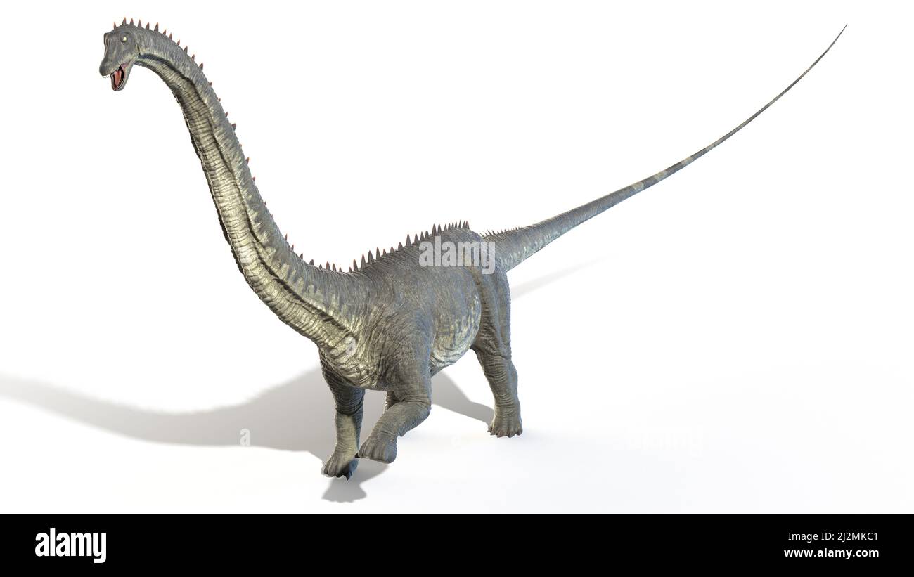 Diplodocus dinosaur rendering hi-res stock photography and images - Alamy