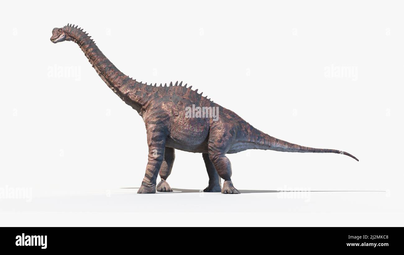 Europasaurus hi-res stock photography and images - Alamy