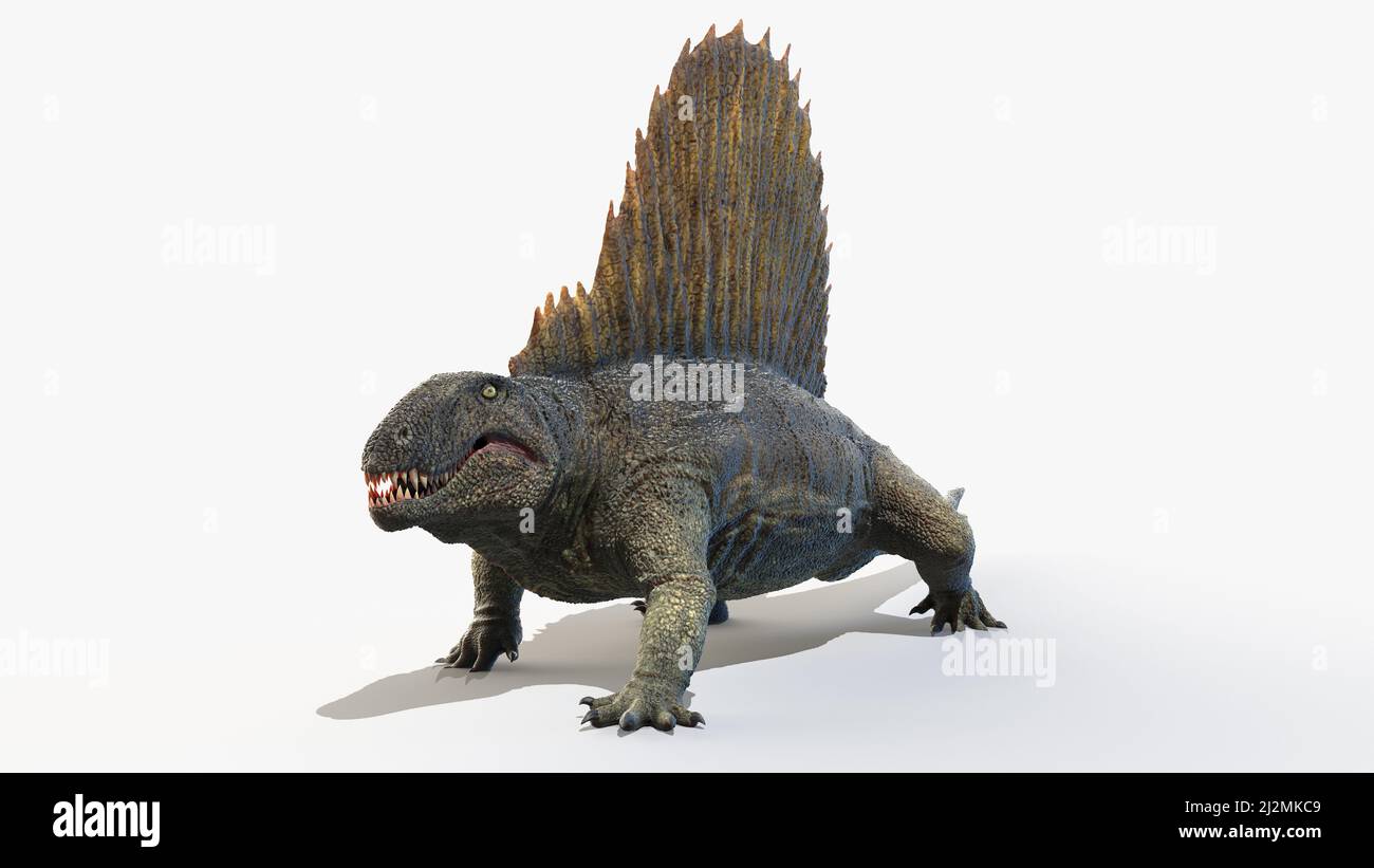 Dimetrodon hi-res stock photography and images - Alamy