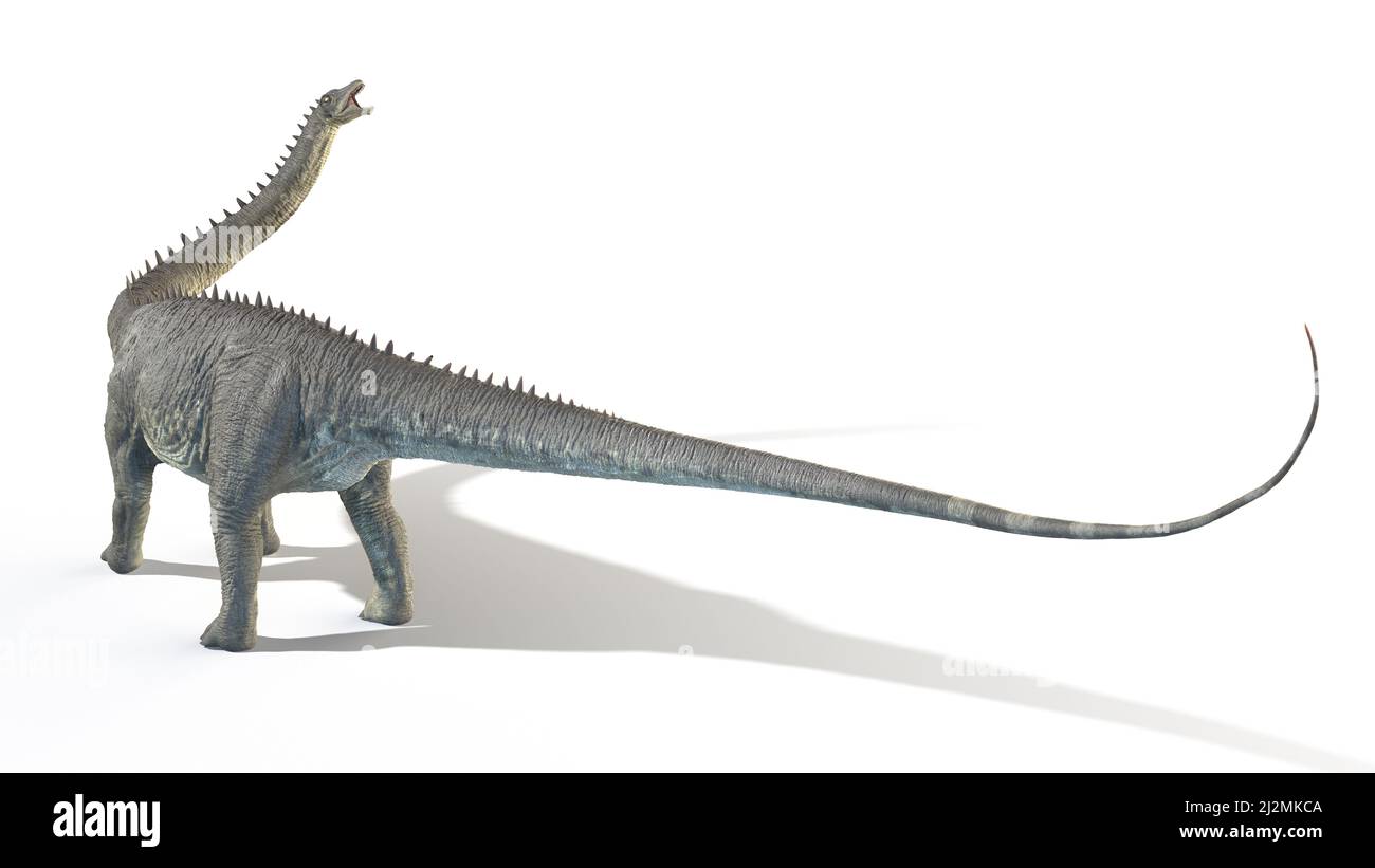 Diplodocus illustration hi-res stock photography and images - Alamy