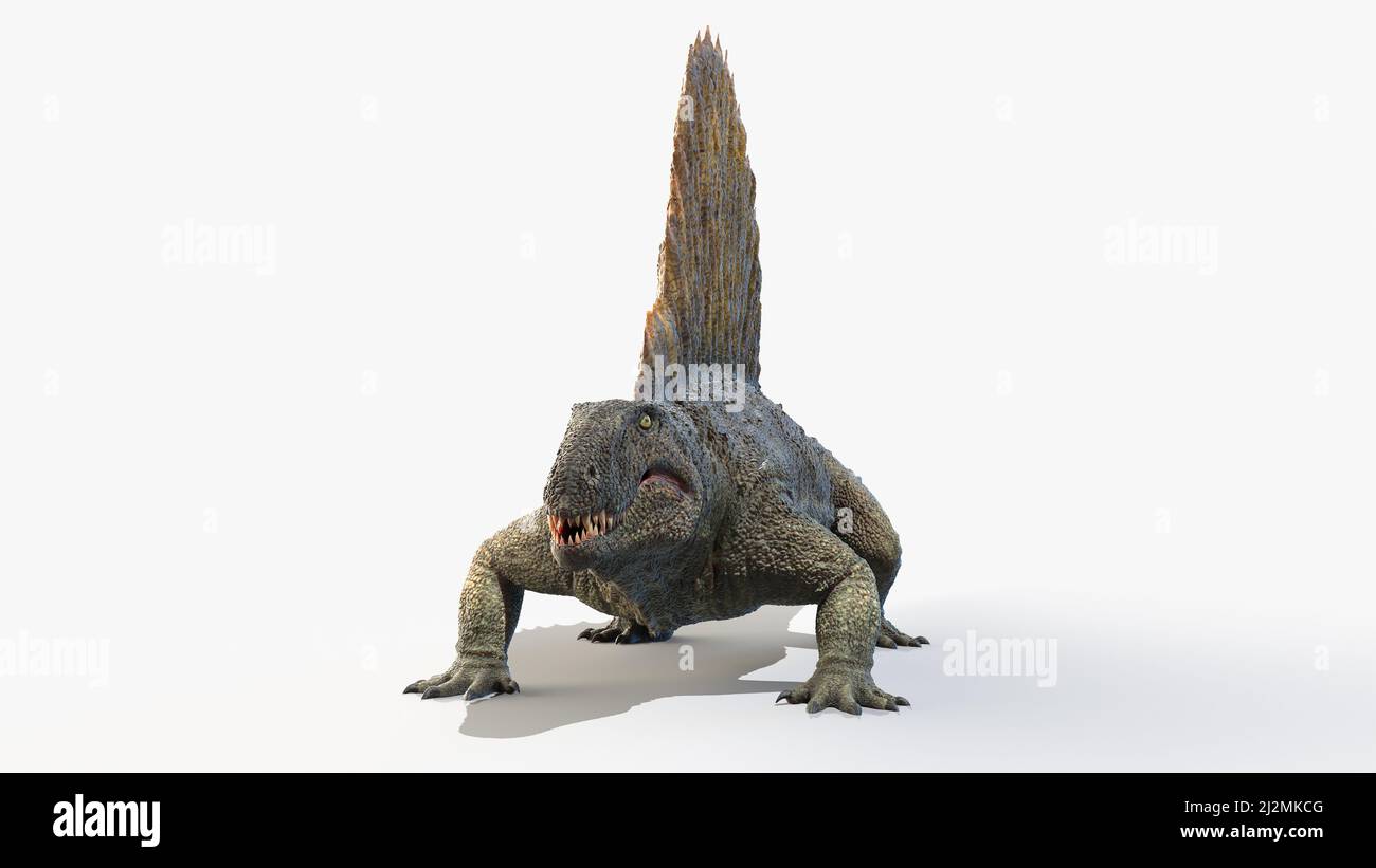 Dimetrodon illustration hi-res stock photography and images - Alamy