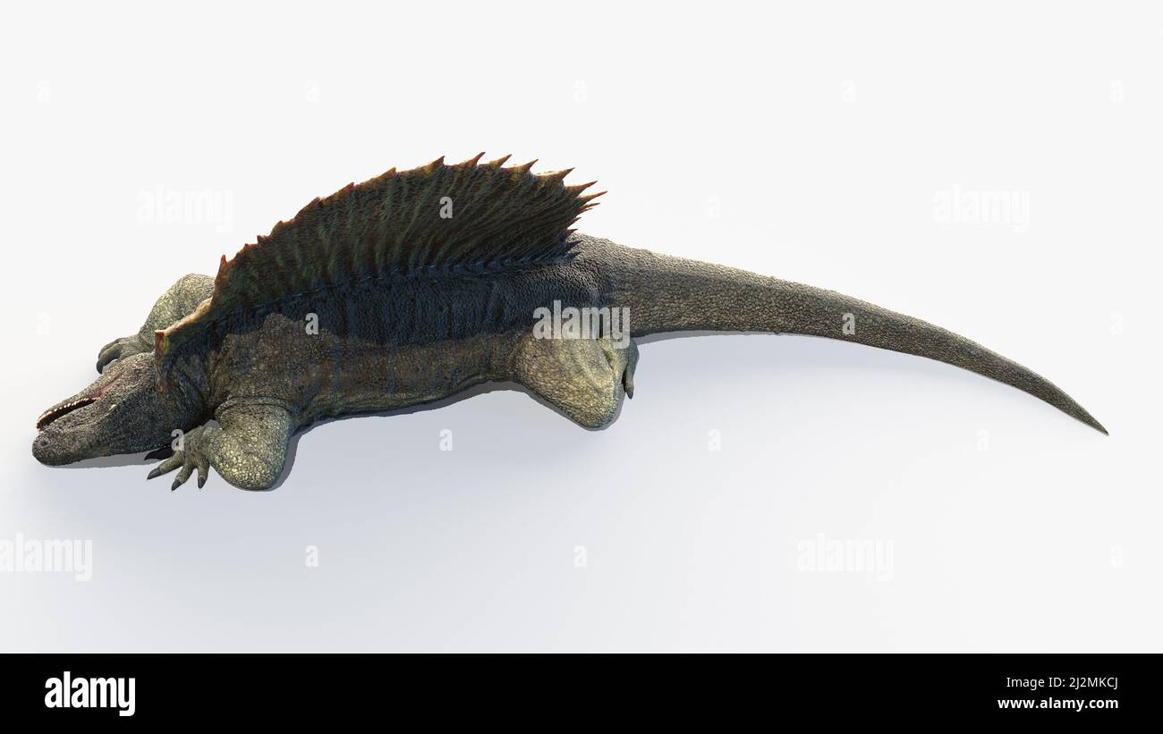 Dimetrodon illustration hi-res stock photography and images - Alamy