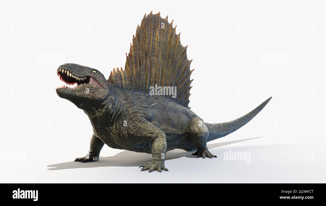 Dimetrodon hi-res stock photography and images - Alamy