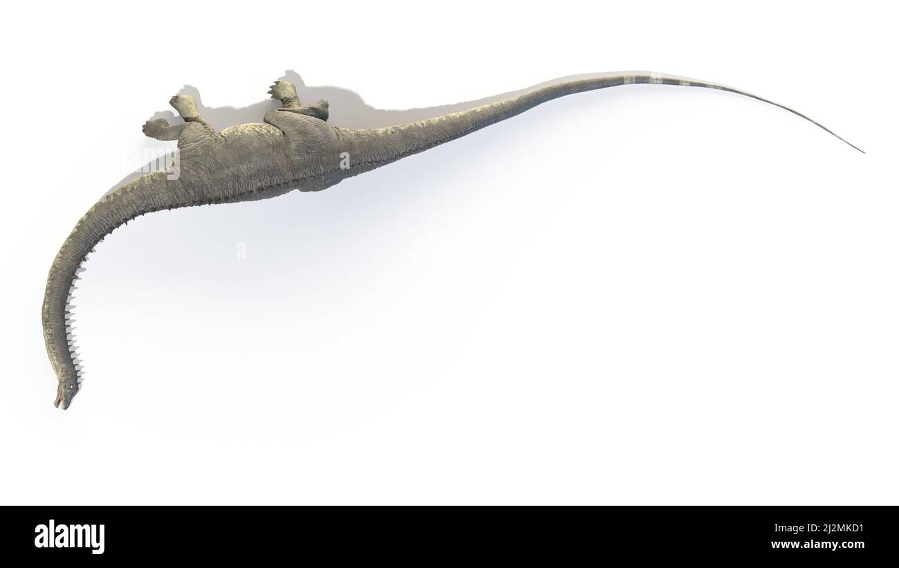 Diplodocus illustration hi-res stock photography and images - Alamy