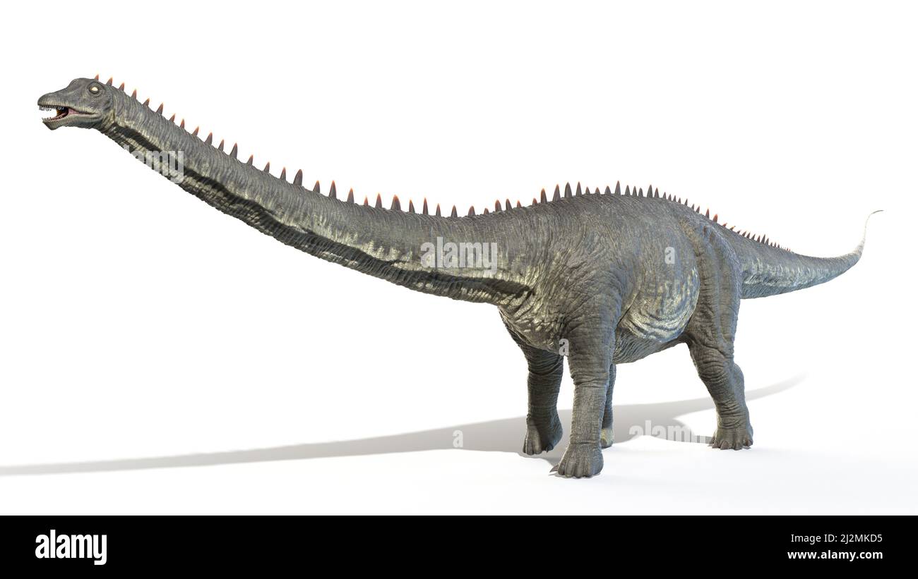 Diplodocus Diplodocus Cut Out Stock Images & Pictures - Alamy