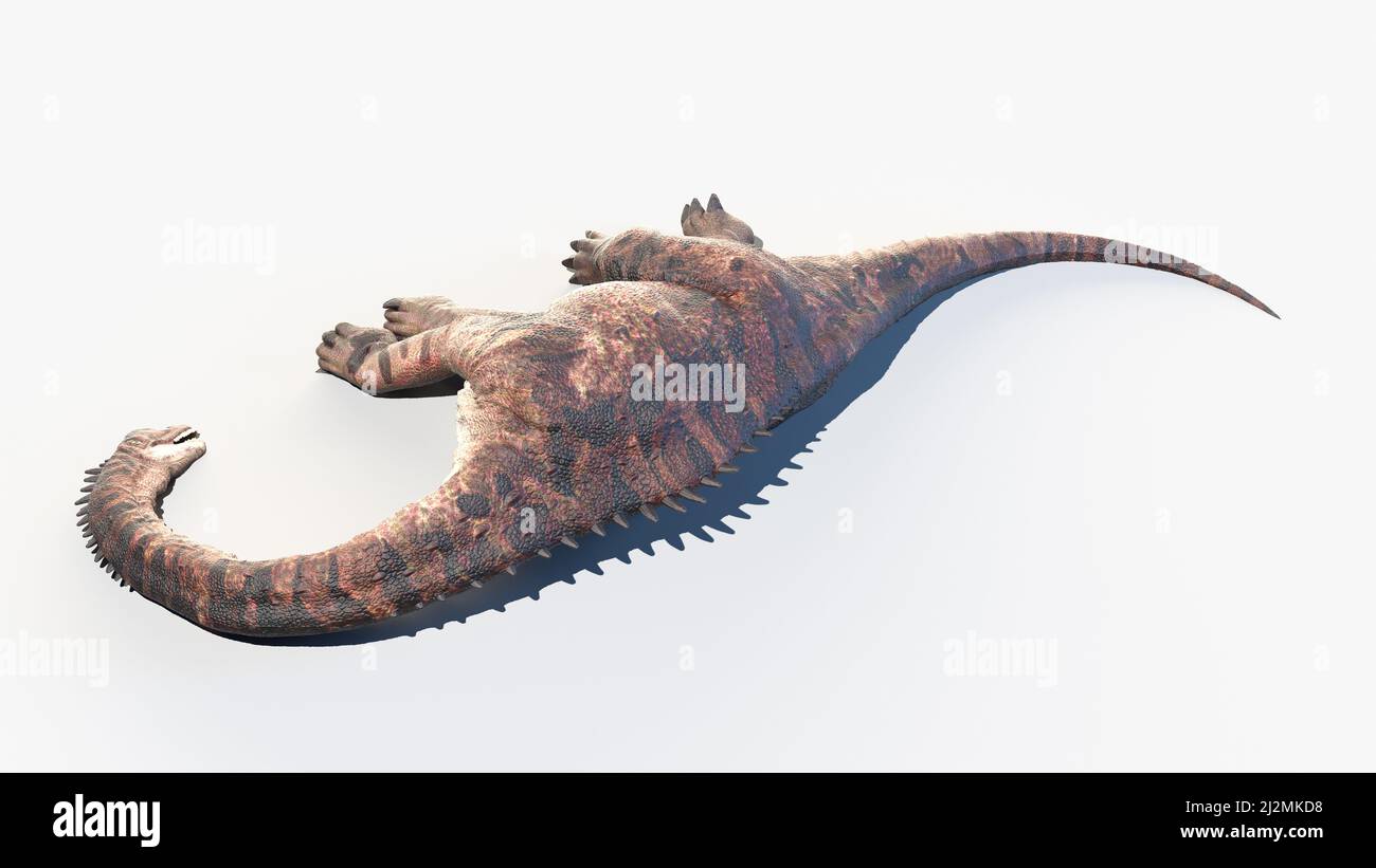 Europasaurus hi-res stock photography and images - Alamy