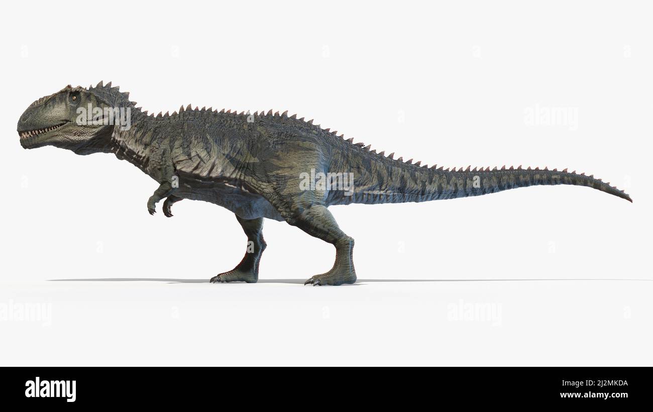 Giganotosaurus Cut Out Stock Images & Pictures - Alamy
