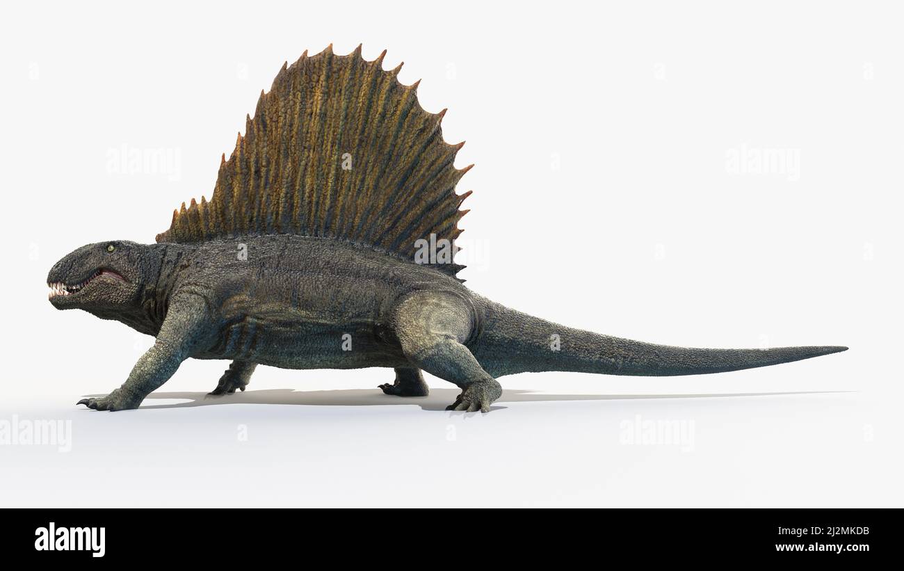 Dimetrodon illustration hi-res stock photography and images - Alamy