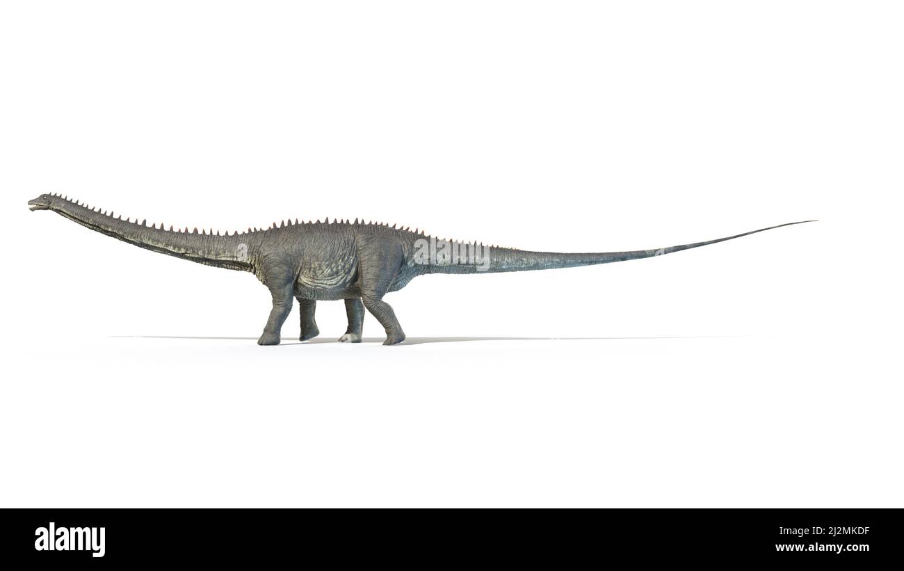 Diplodocus dinosaur rendering hi-res stock photography and images - Alamy