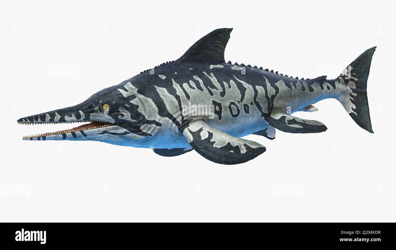 Ichthyosaurus Cut Out Stock Images & Pictures - Alamy