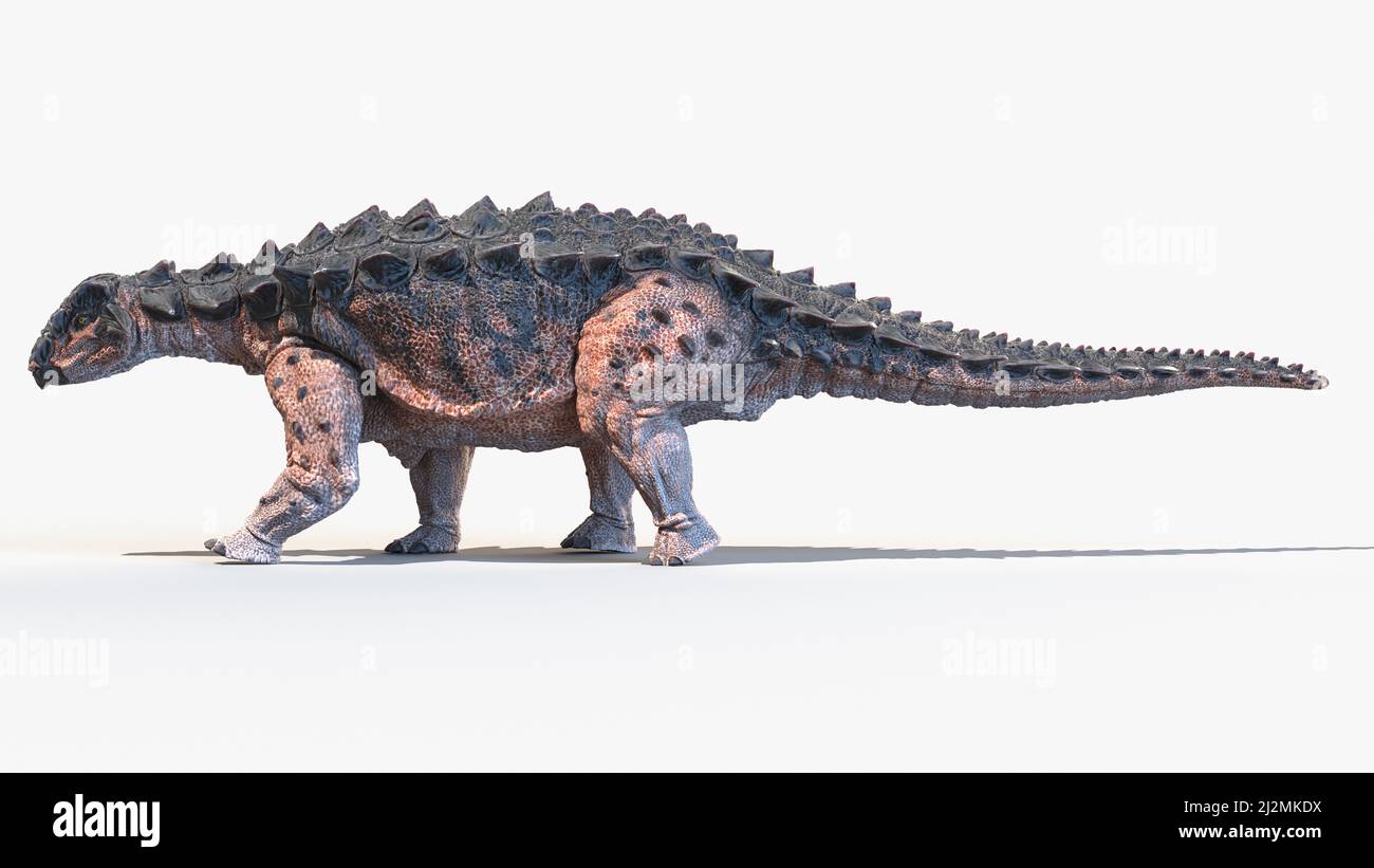 Europelta hi-res stock photography and images - Alamy
