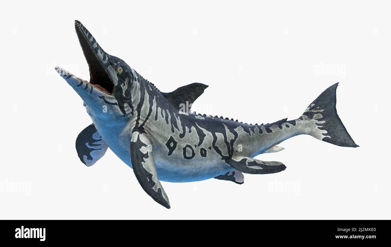 Ichthyosaurus Cut Out Stock Images & Pictures - Alamy