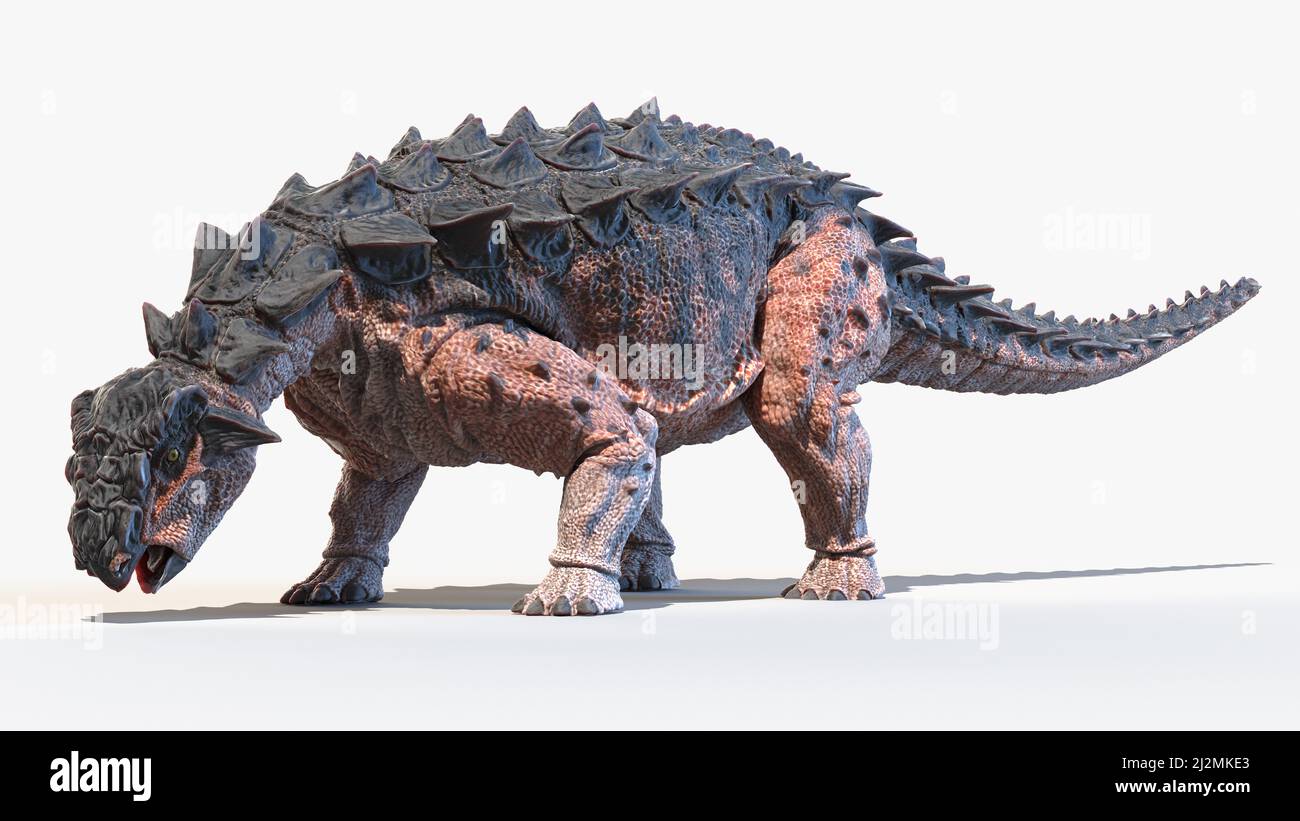 Europelta hi-res stock photography and images - Alamy