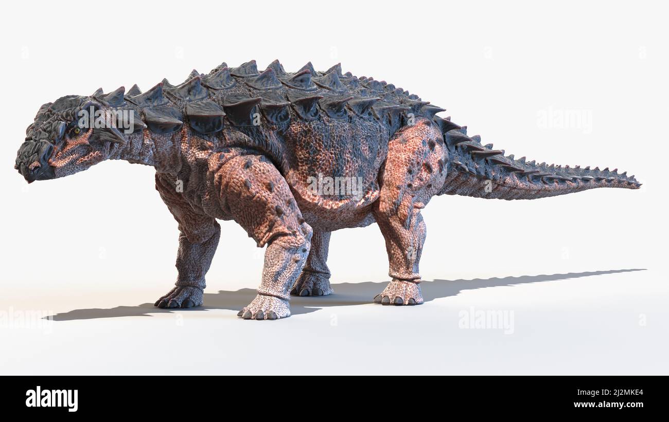 Europelta hi-res stock photography and images - Alamy