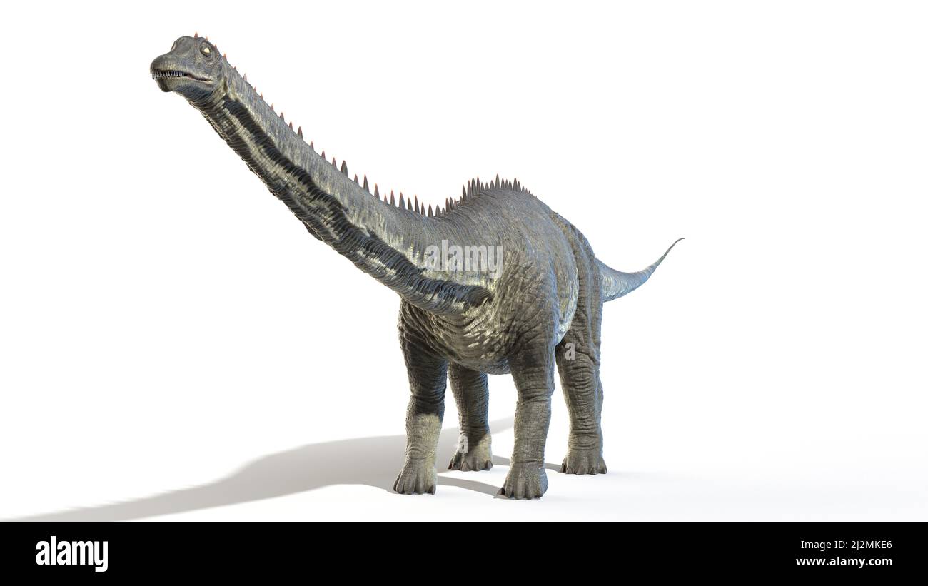 Diplodocus illustration hi-res stock photography and images - Alamy