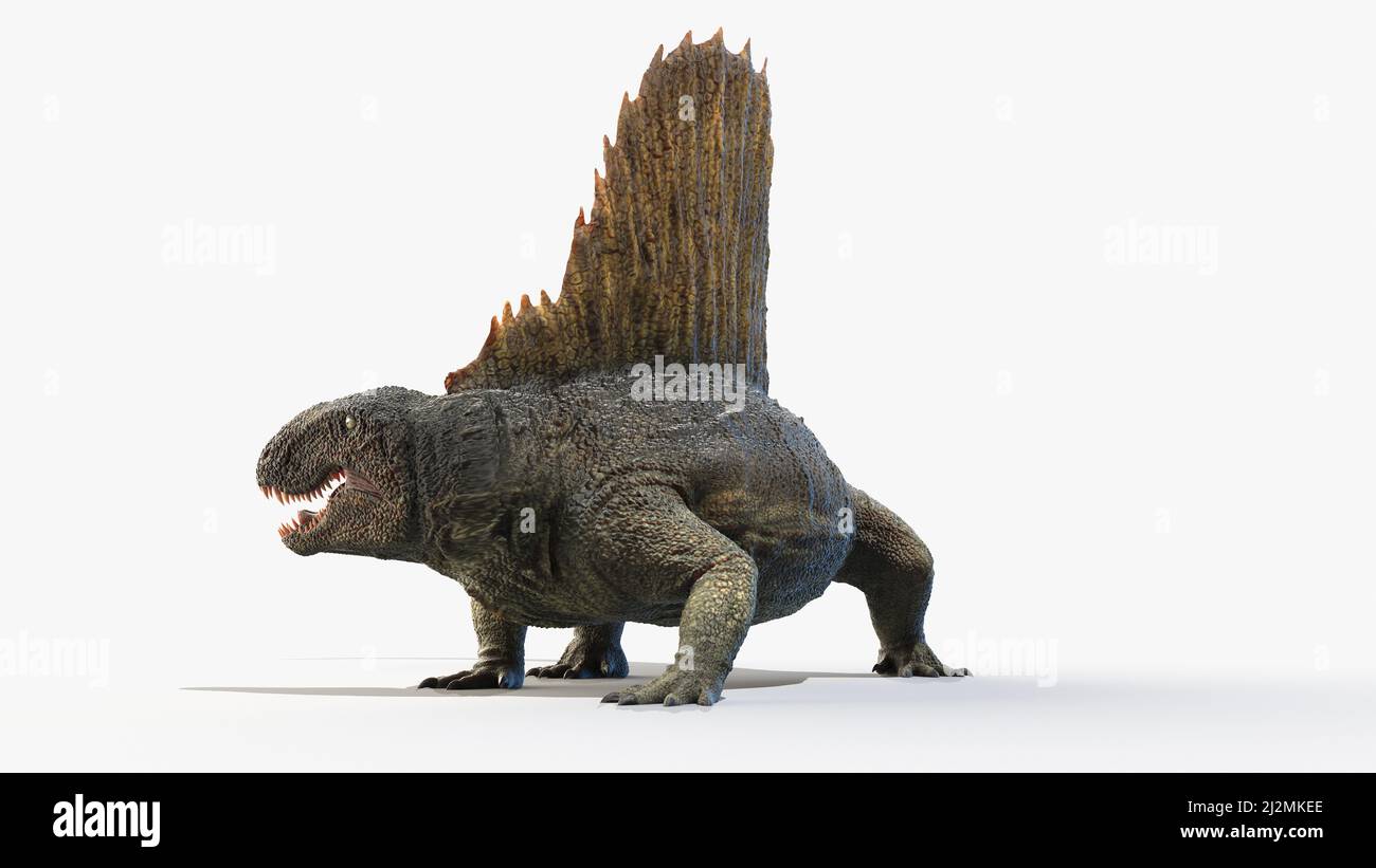 Dimetrodon hi-res stock photography and images - Alamy