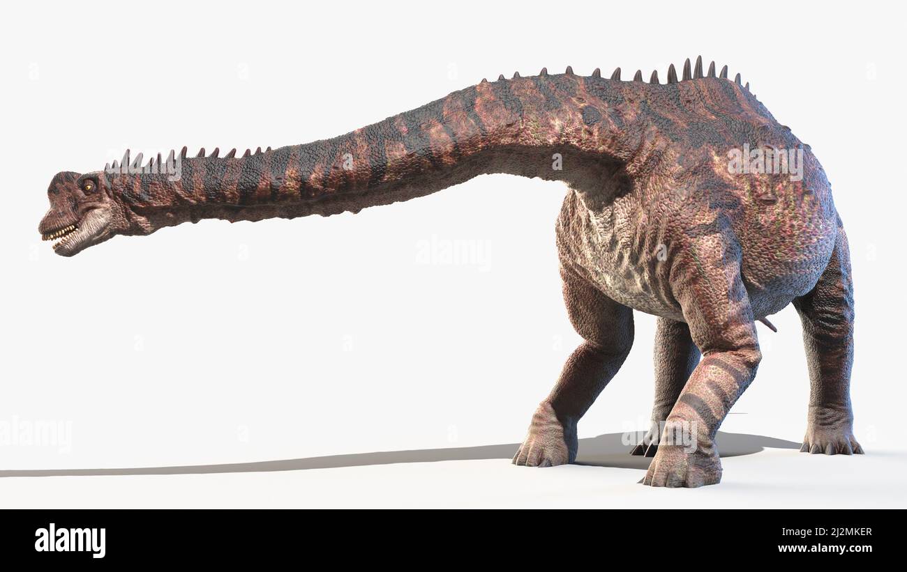 Europasaurus dinosaur hi-res stock photography and images - Alamy